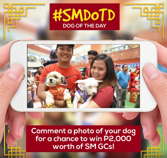 SM Dog of the Day | Promos | SM Supermalls | SM Supermalls