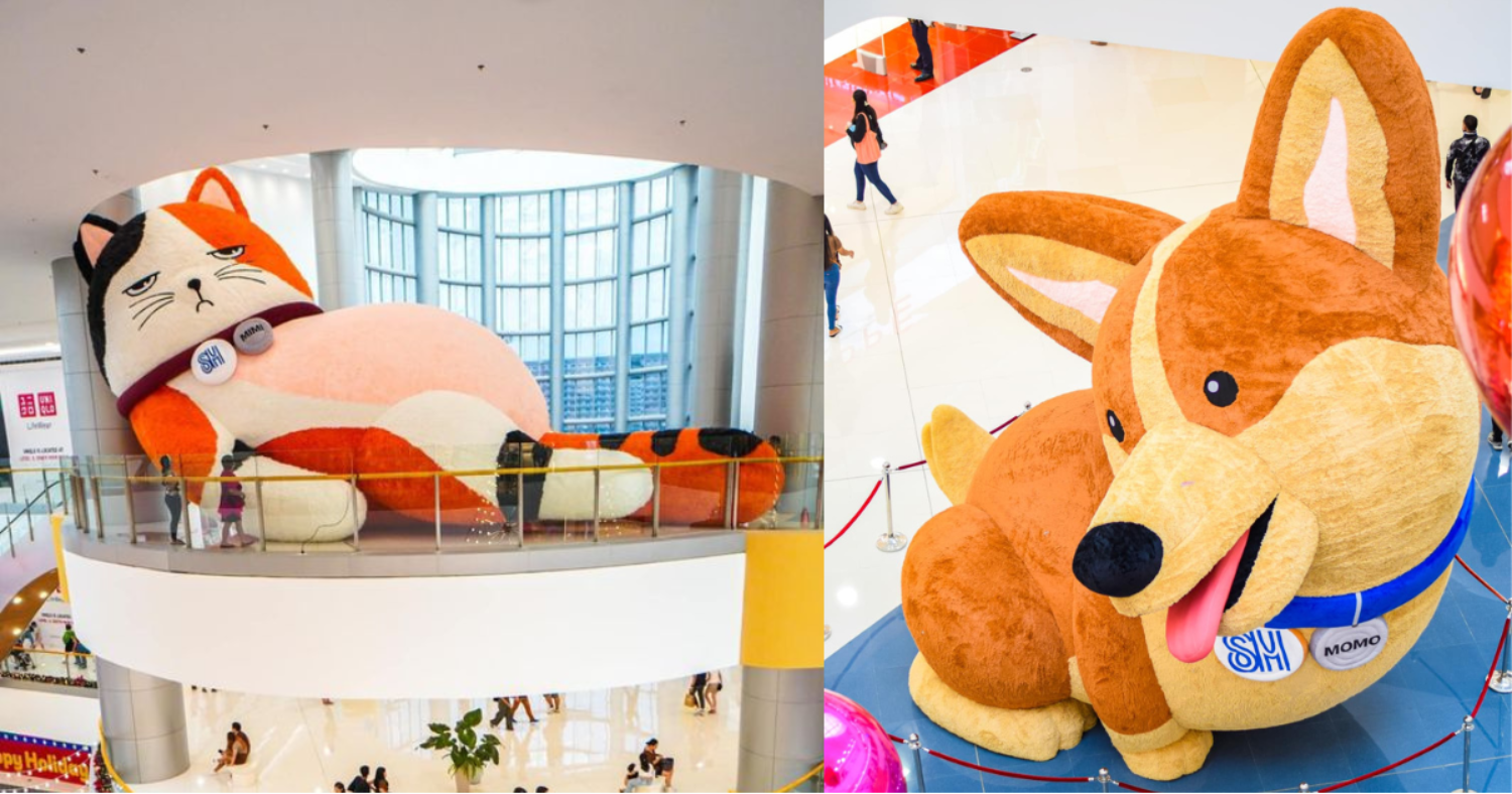 SM Mall of Asia Unveils Mimi and Momo – a Grumpy Cat and a Happy Dog ...