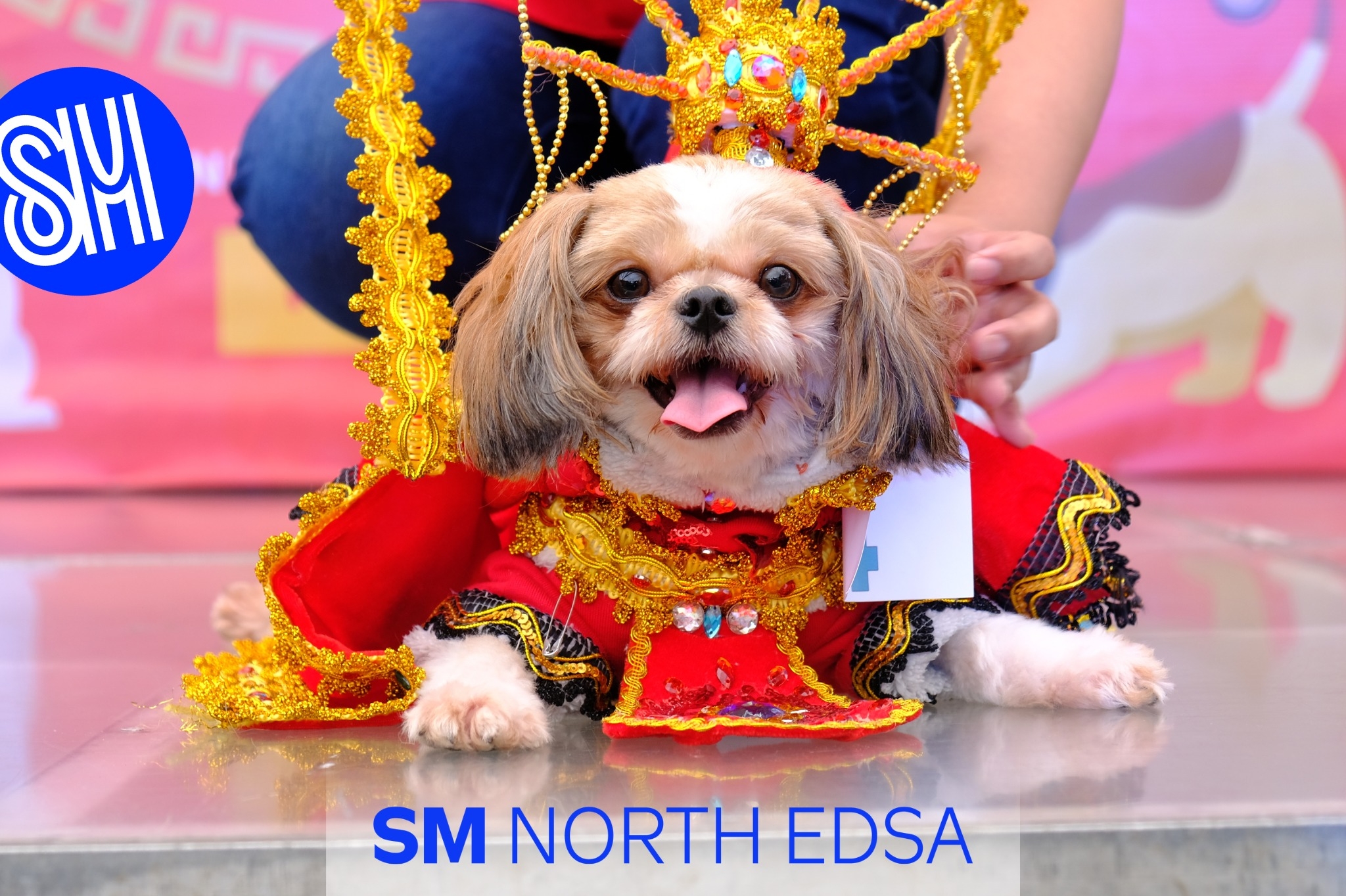 It’s Paw-ssible! These Restos At SM Supermalls Are Pet-Friendly | SM ...